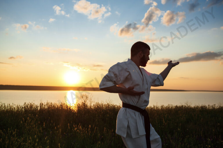 The Relevance of Martial Arts: Is It Worth Learning Karate in Today’s ...